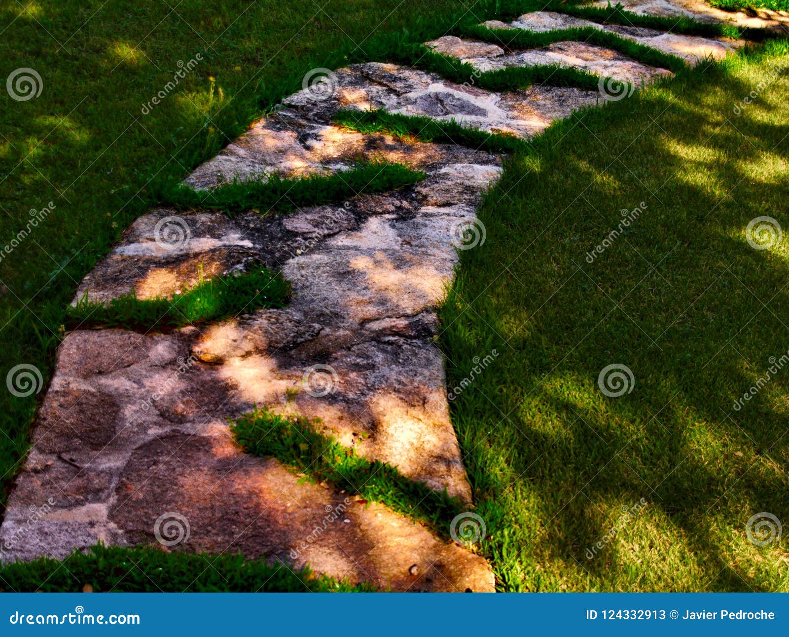 Stone path in green grass stock image. Image of color - 124332913