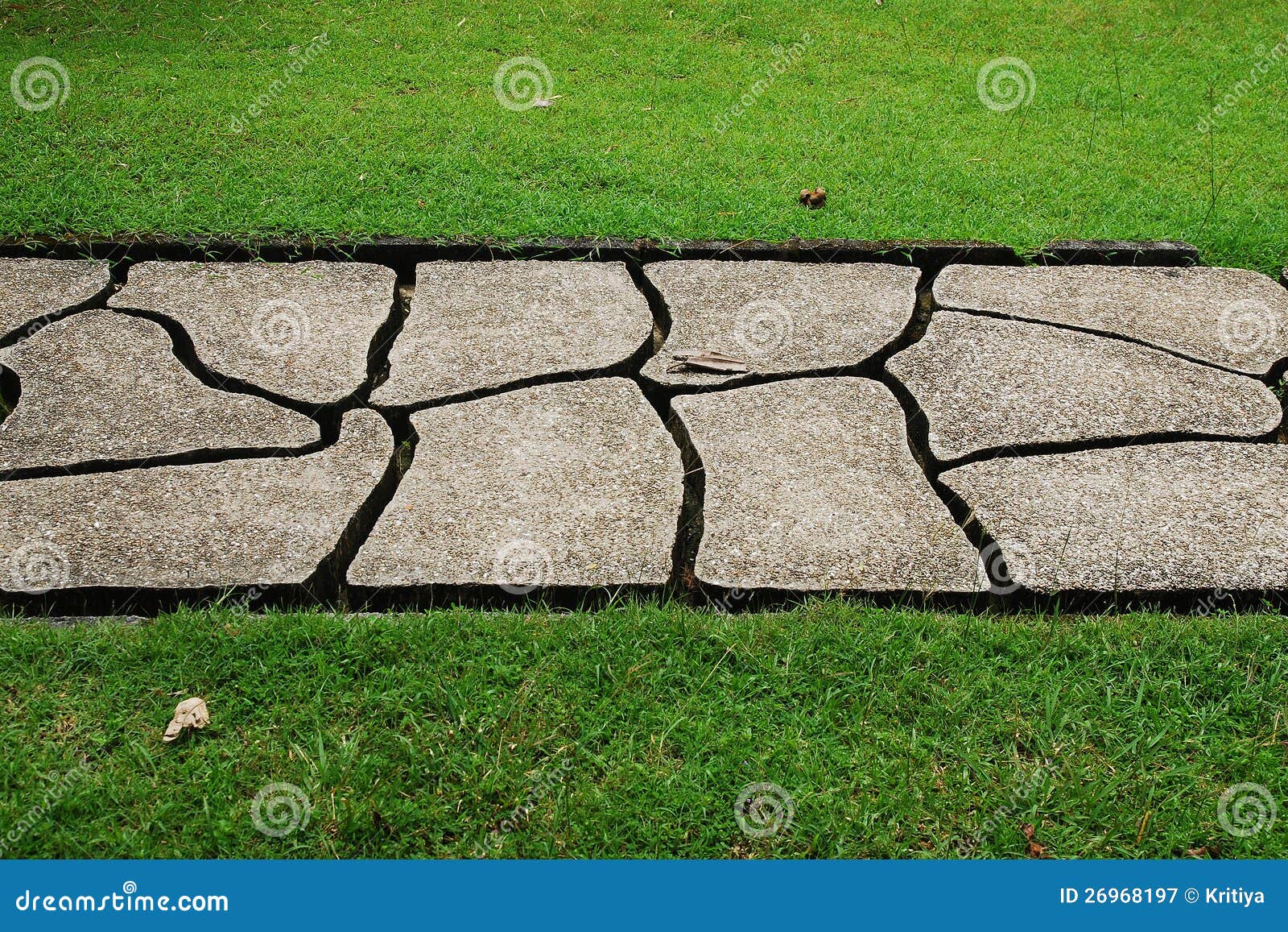 Stone Path through a Green Grassy Stock Image - Image of relaxation ...