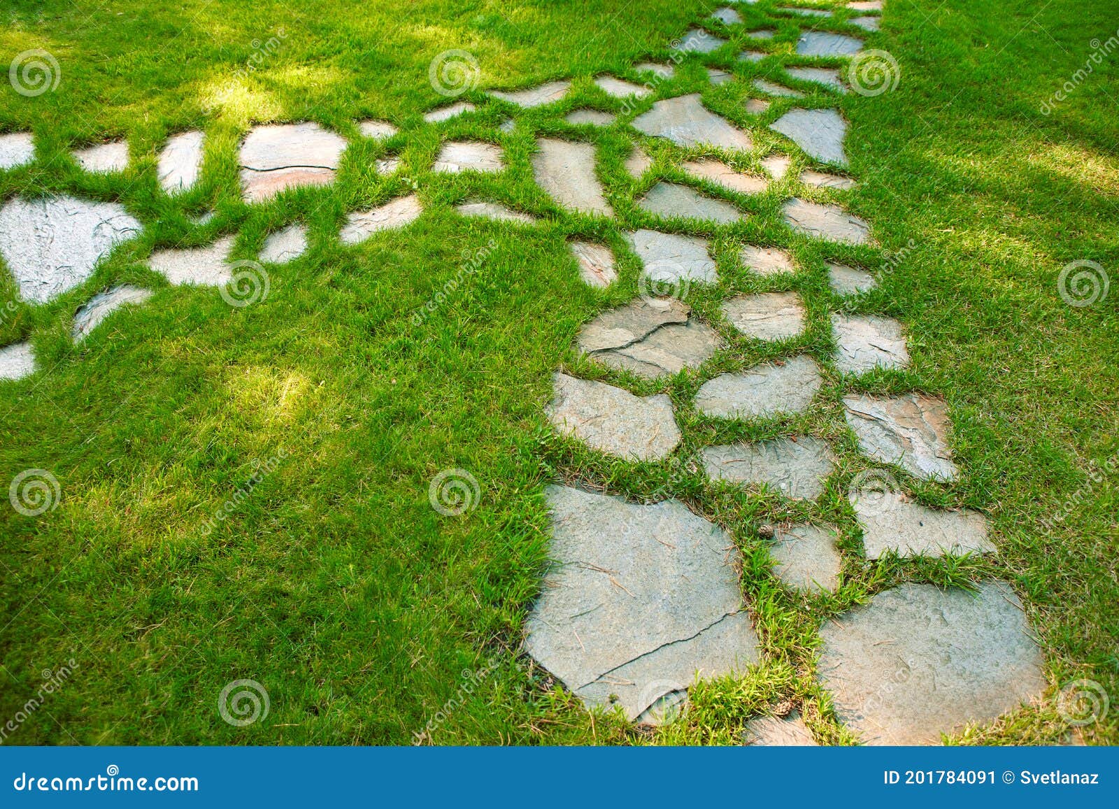Stone Path on a Green Grassy Lawn. the Way Paved Single Stones among a ...