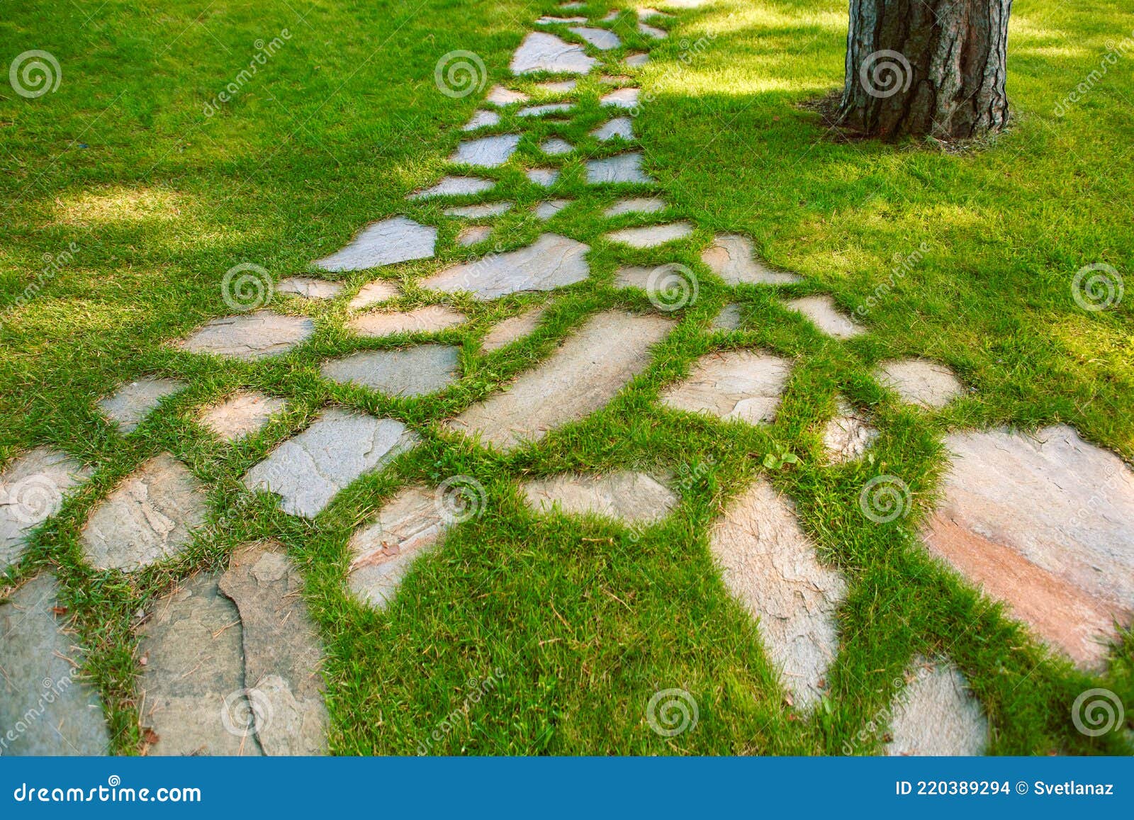 Stone Path on a Green Grassy Lawn. the Way Paved Single Stones among a ...