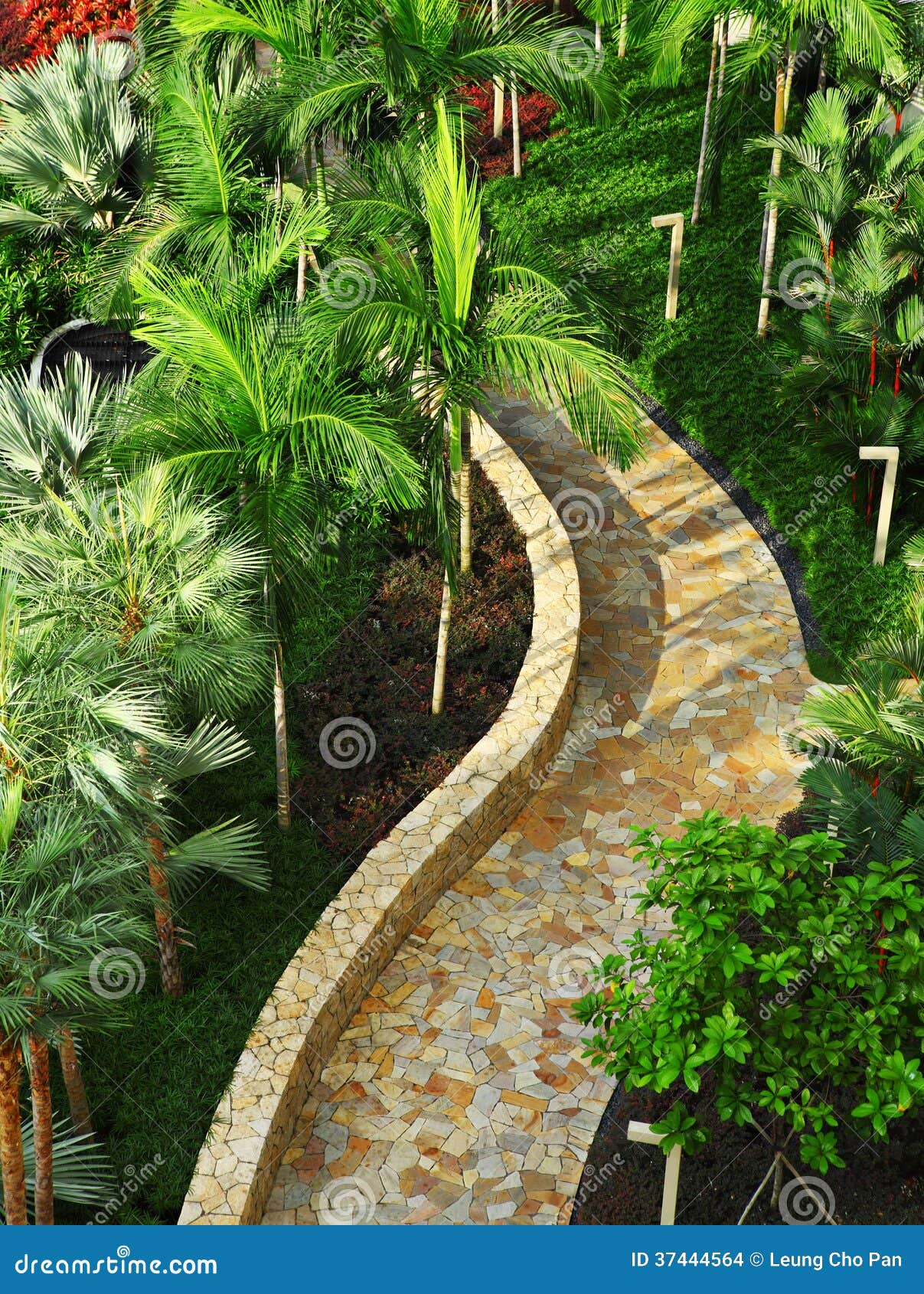 Stone Path in Green Tree Garden Stock Photo - Image of leaf, green ...