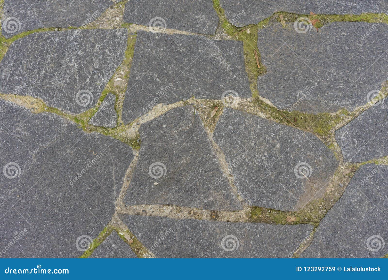 Stone Path Grey Concrete Top View Stock Image - Image of garden ...