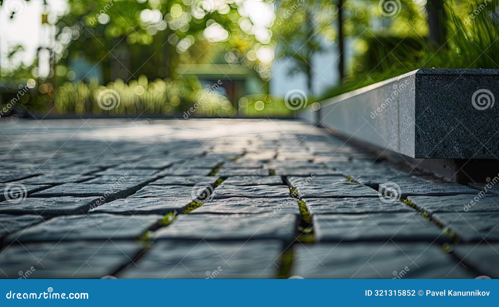 A Stone Path Leading through Lush Greenery Stock Photo - Image of ...