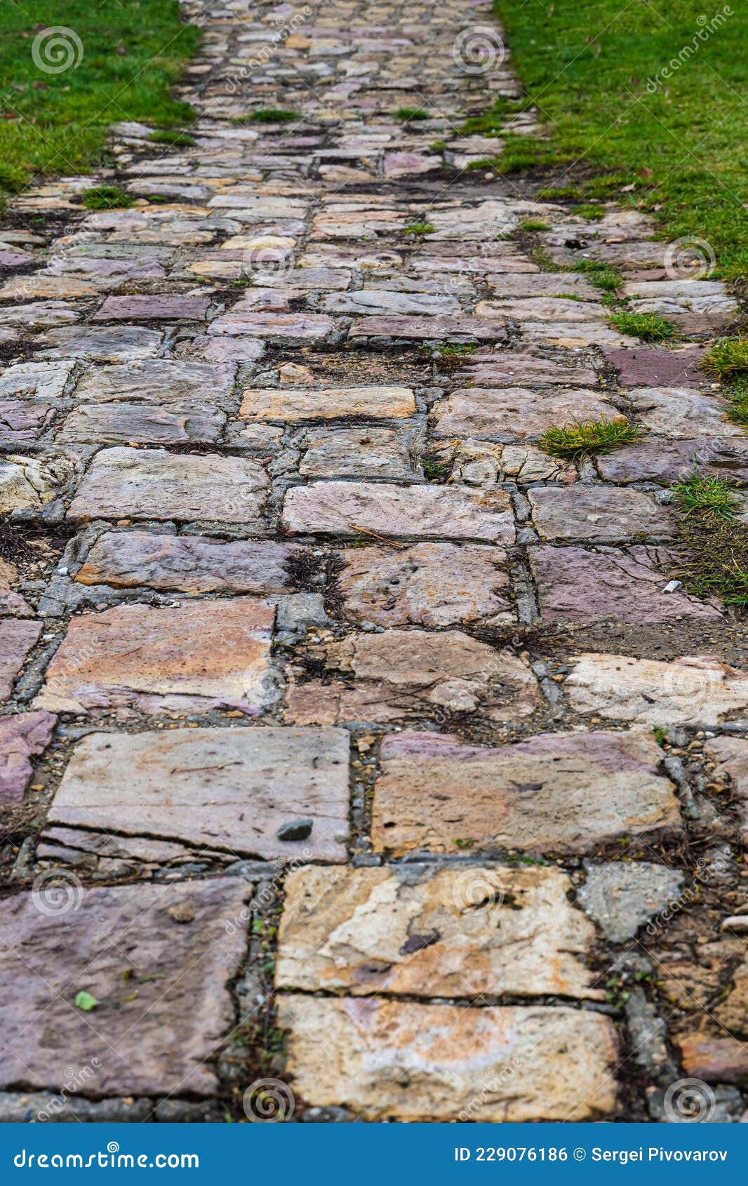Stone Path Lined with Cobblestones among the Grass Stock Photo - Image ...