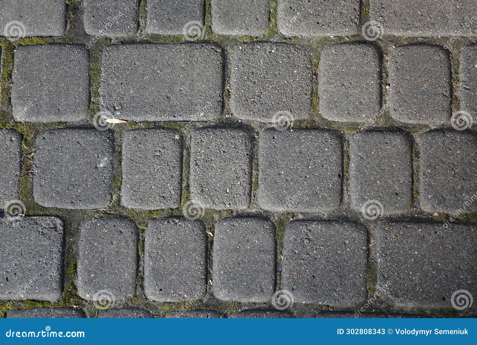 Stone Path Made of Paving Stones from Rectangular Blocks Stock Image ...