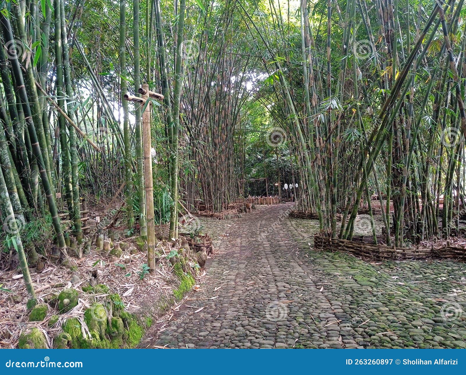A Stone Path in the Middle of a Bamboo Forest Stock Image - Image of ...