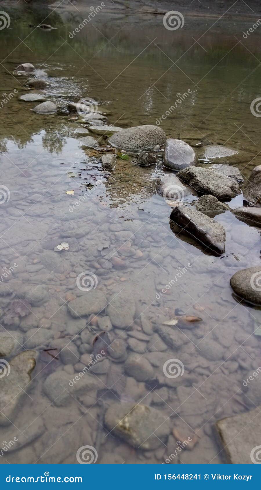 Stone Path through a Mountain Stream with Clear Water. Stock Image ...
