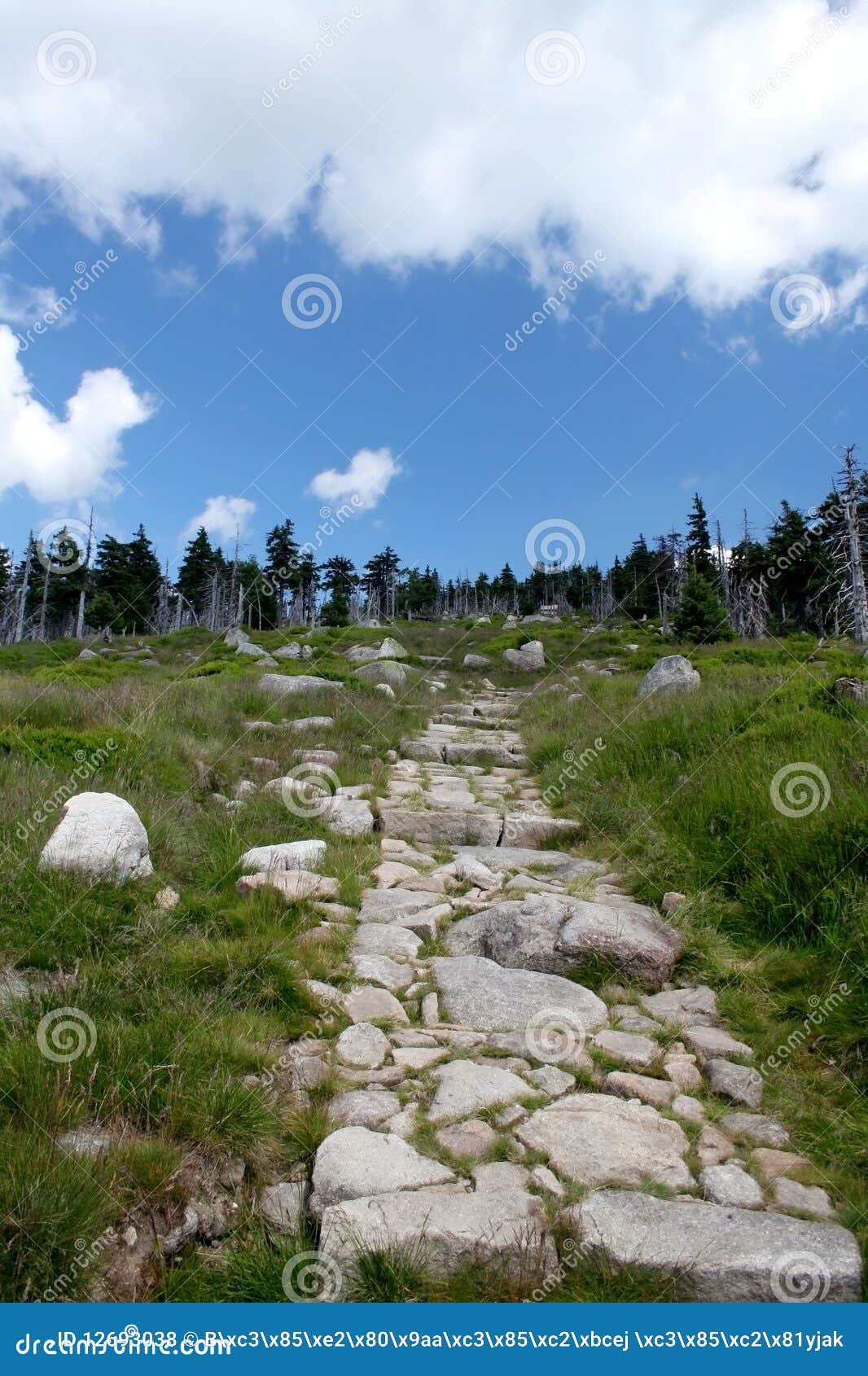 Stone path in mountains stock photo. Image of park, path - 12693038