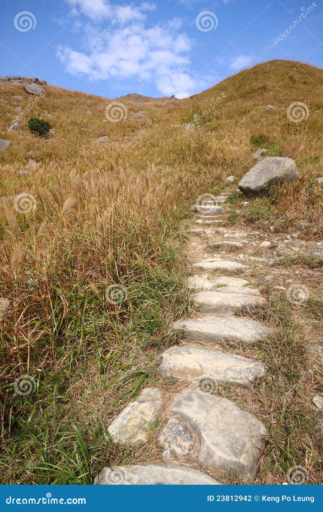 Stone Path in the Mountains Stock Photo - Image of natural, colorful ...