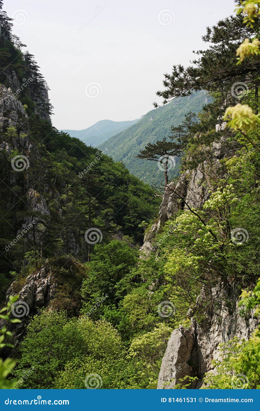 Stone Path in the Mountains of Cerna Stock Image - Image of texture ...