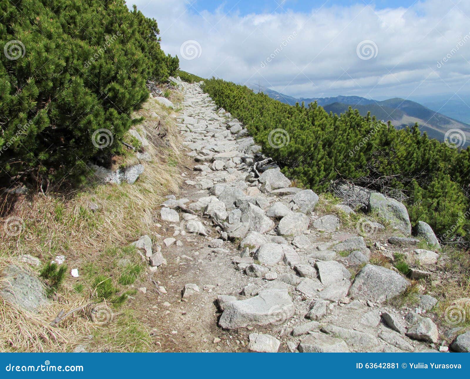 Stone Path in the Mountains Stock Image - Image of beauty, hiking: 63642881
