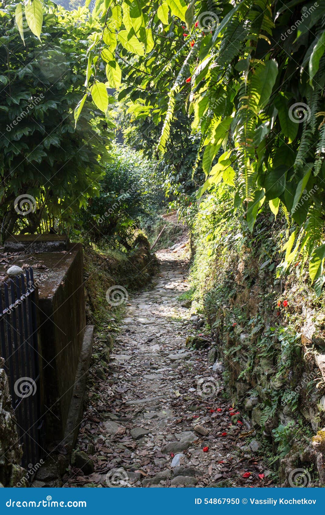 Stone Path in the Mountains Stock Photo - Image of hiking, hike: 54867950