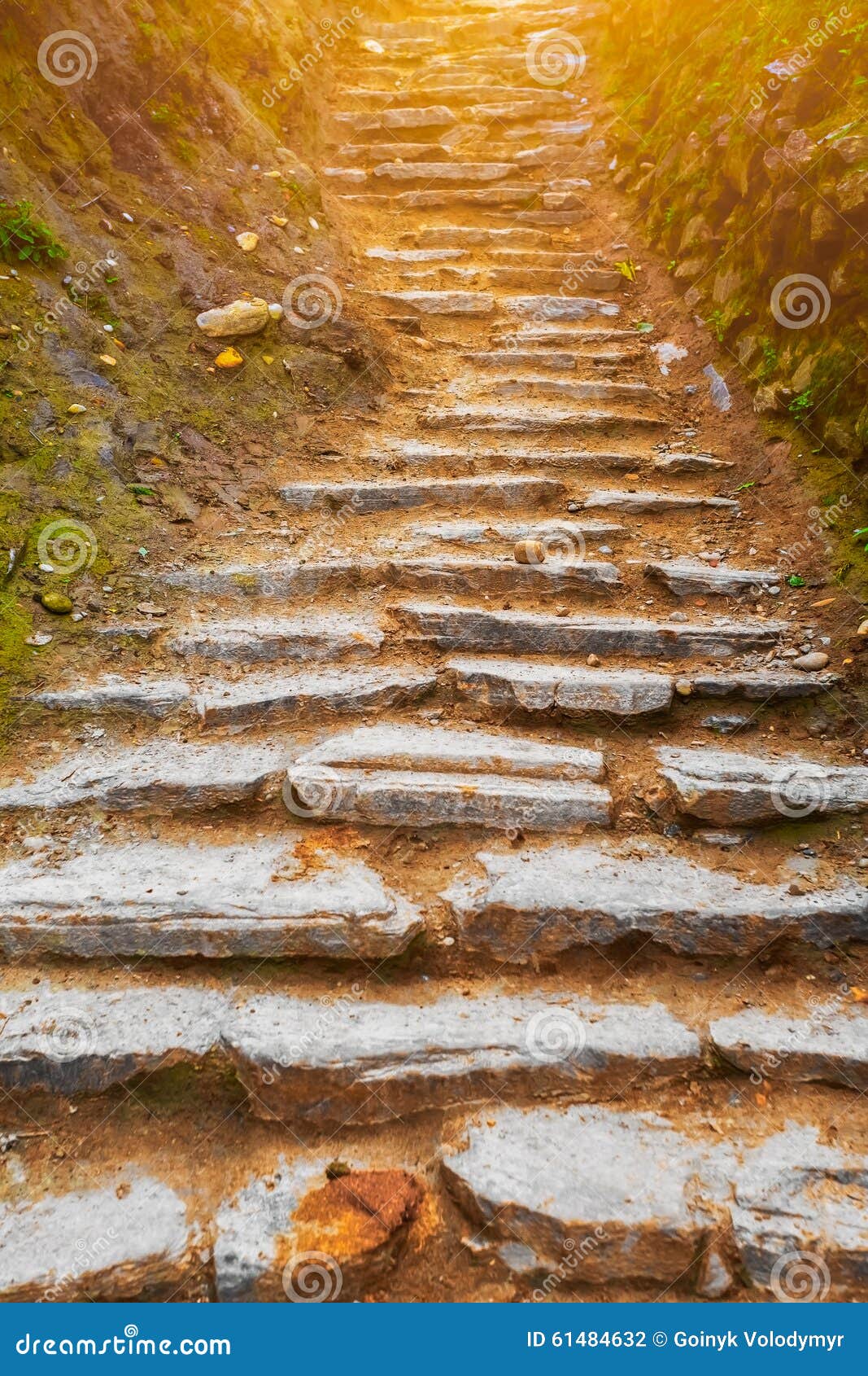 Stone path in mountains stock photo. Image of foliage - 61484632