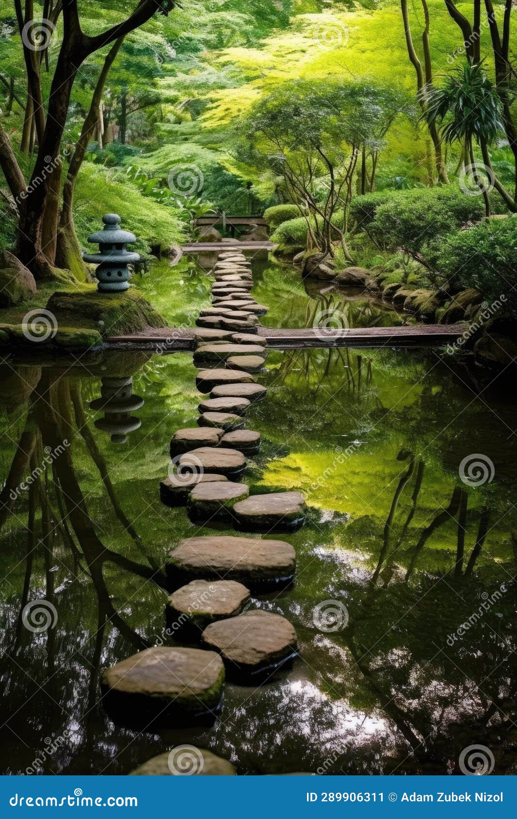 A stone path over water stock illustration. Illustration of grass ...