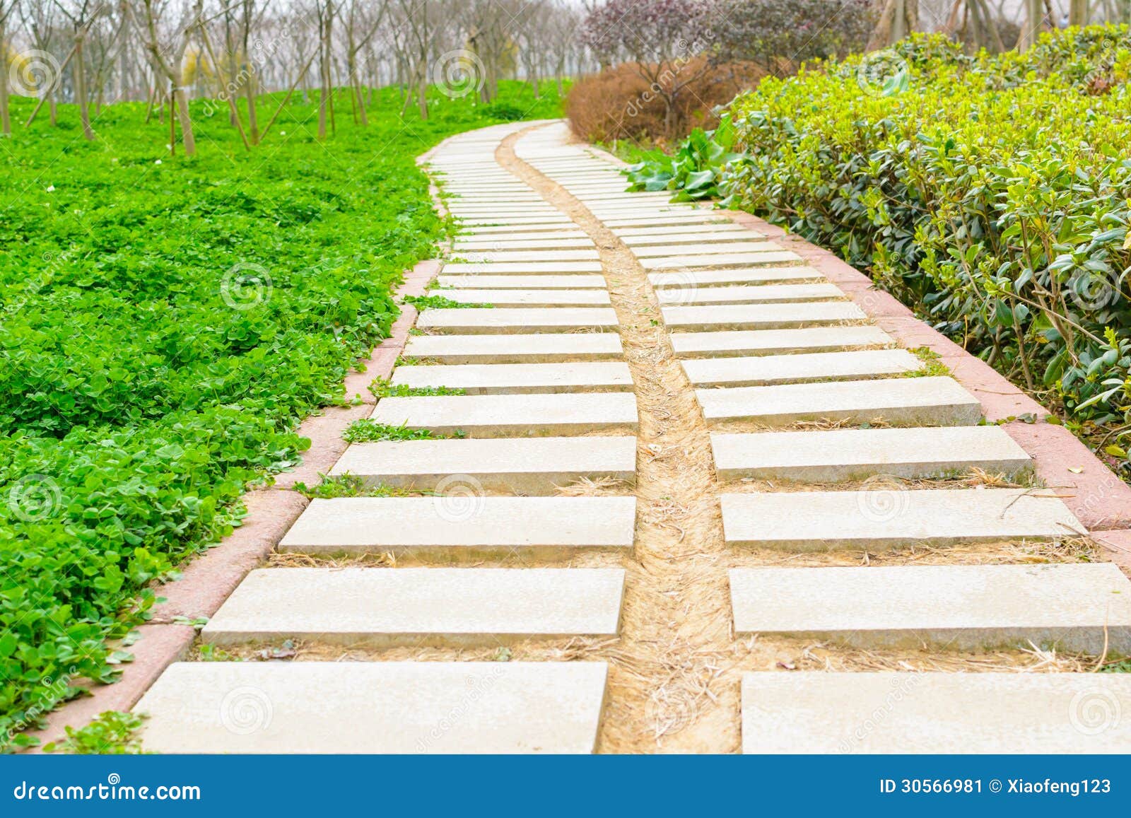 Stone path stock image. Image of landscape, yard, walk - 30566981