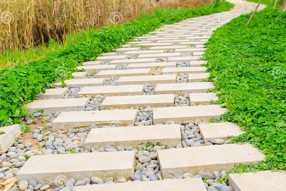 Stone path stock image. Image of park, street, abstract - 30566993