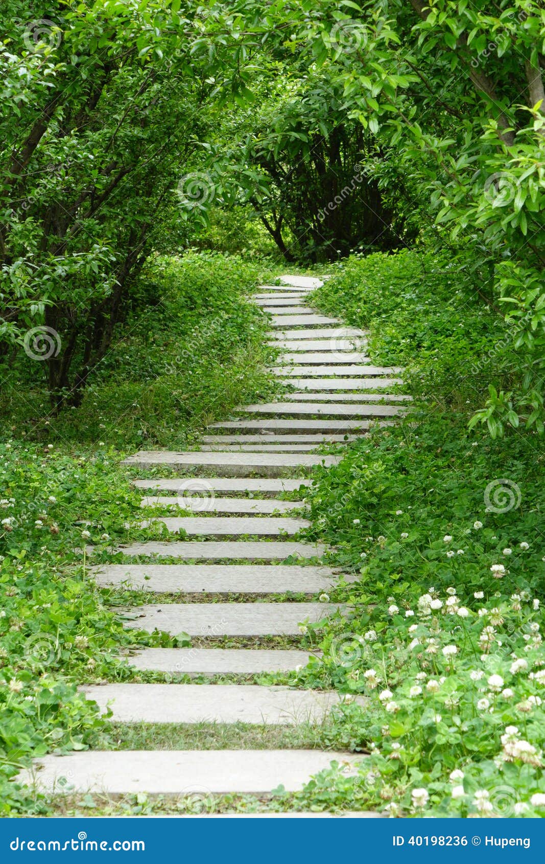 Stone path stock photo. Image of ground, background, fairyland - 40198236