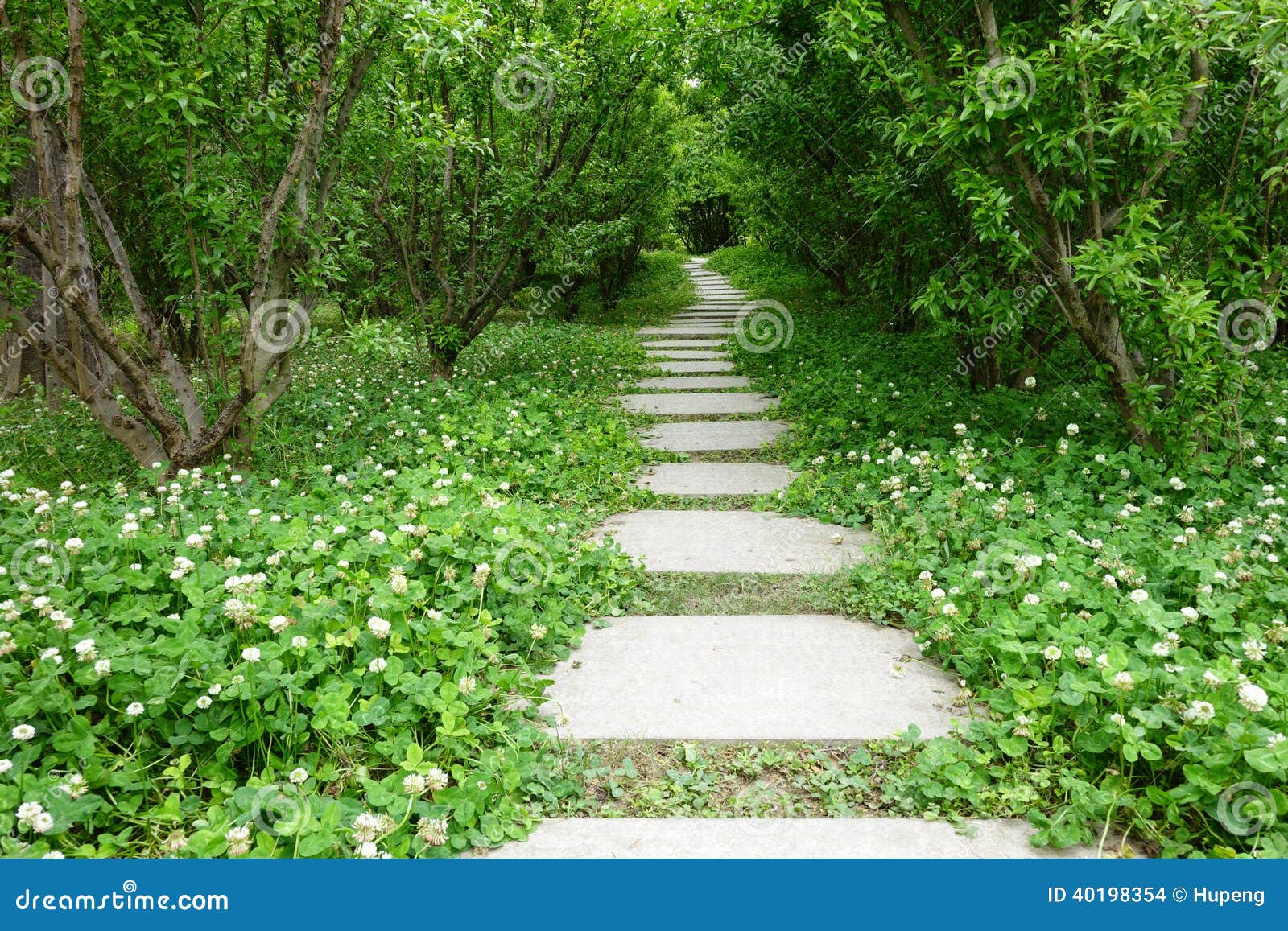 Stone path stock photo. Image of clear, clarity, footpath - 40198354
