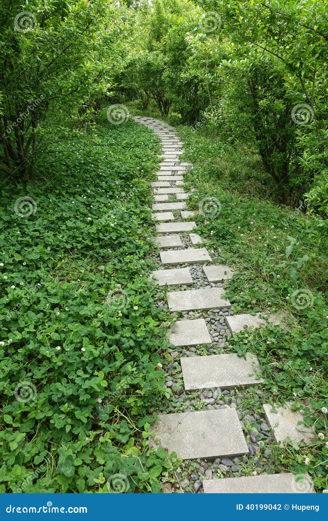 Stone path stock photo. Image of green, background, beautiful - 40199042