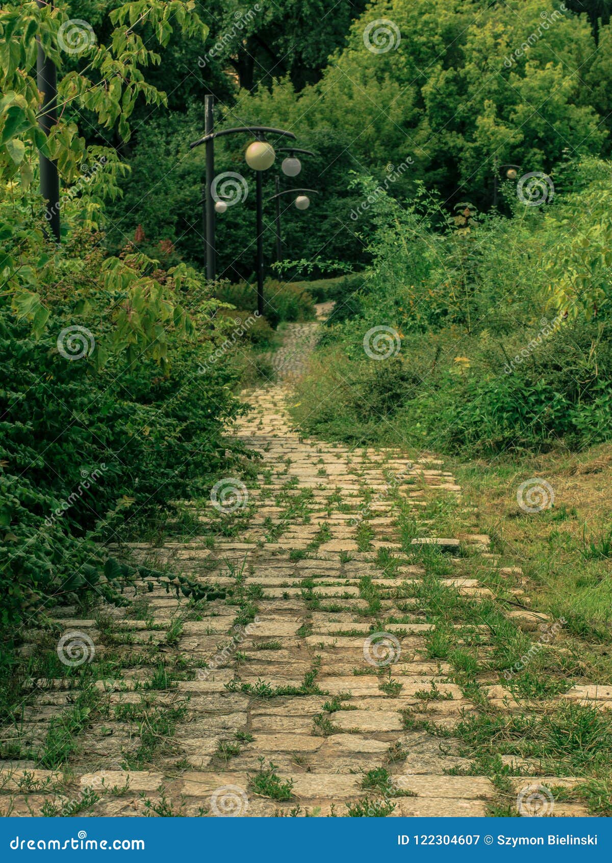 A Stone Path in the Park between the Bushes Stock Image - Image of ...