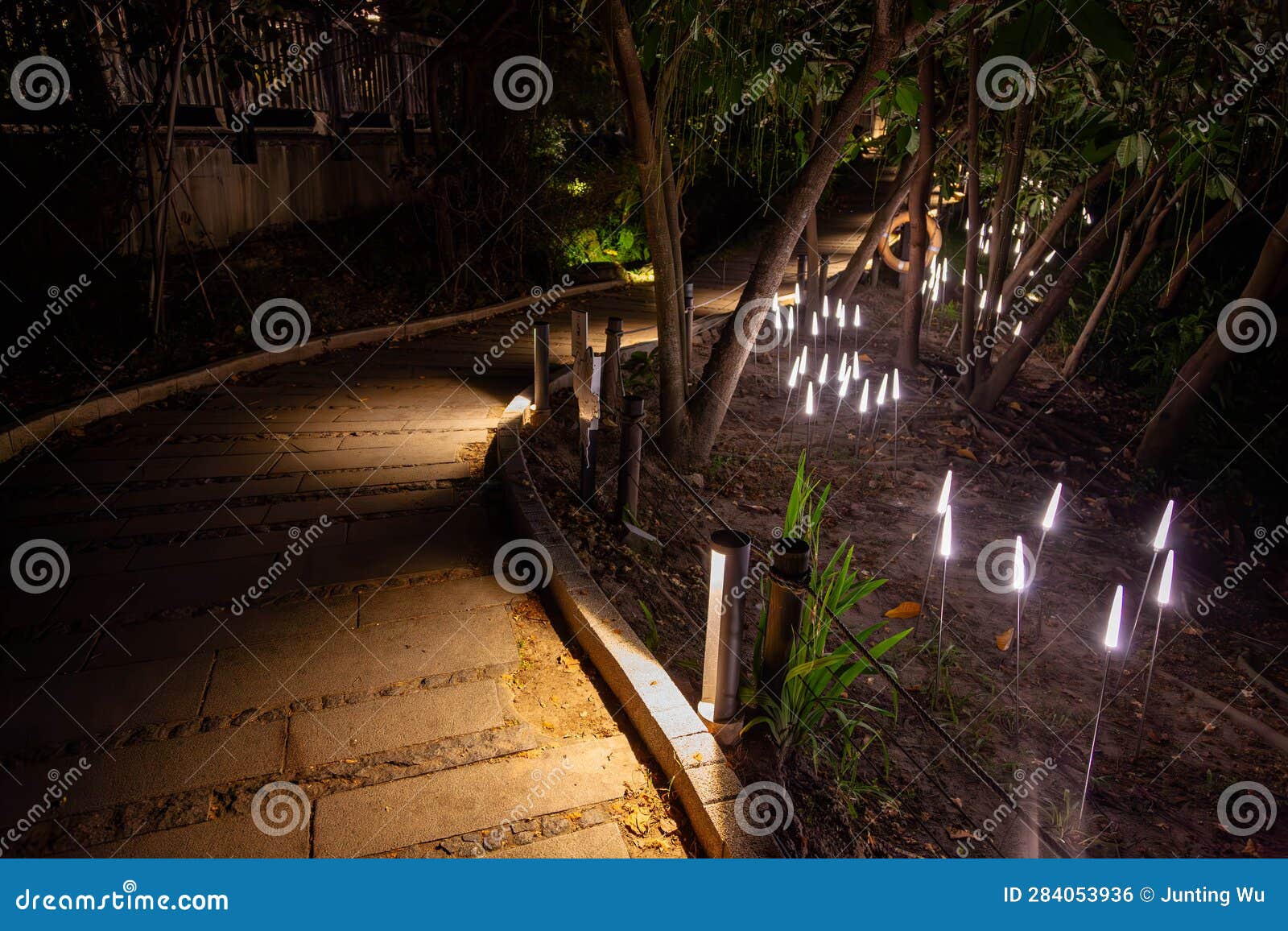 A Stone Path in Park at Night with Light Stock Photo - Image of steps ...
