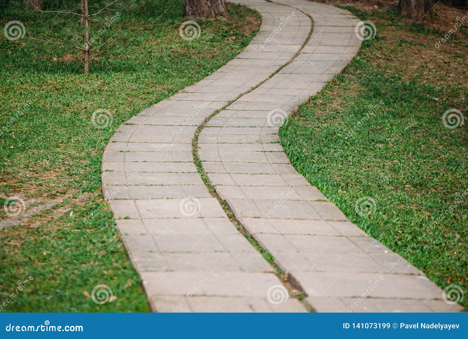 Stone path in Park stock image. Image of road, park - 141073199