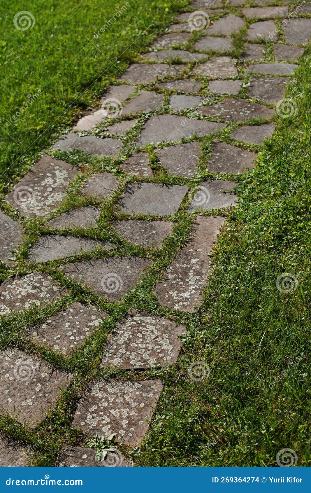 Stone path in the park stock photo. Image of landscape - 269364274
