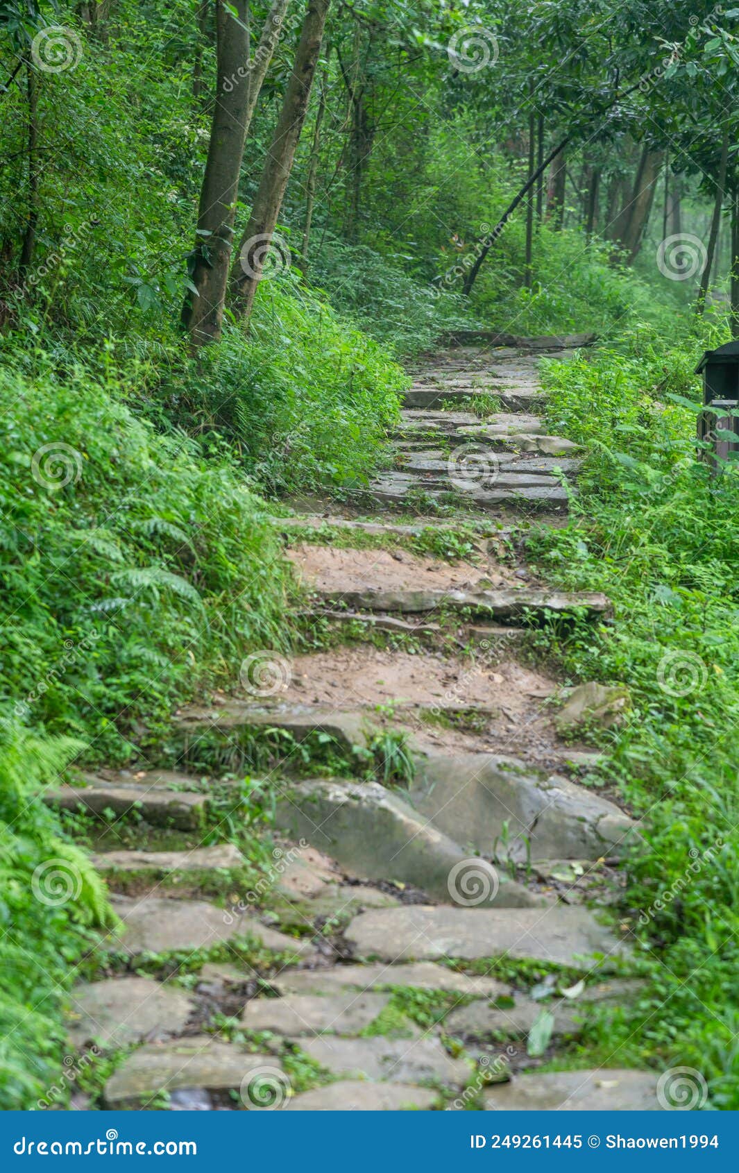 Stone Path stock image. Image of road, winding, plant - 249261445