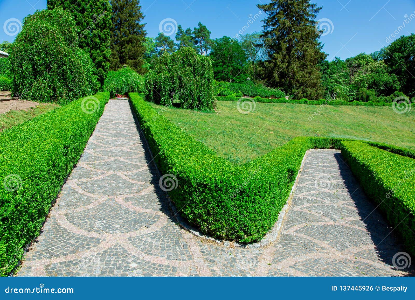A Stone Path with a Pattern Comes Down from Top To Bottom. Stock Photo ...