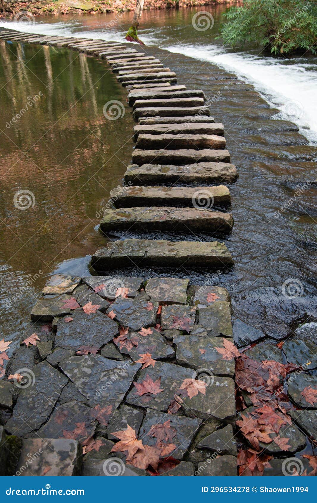 Stone path on river stock photo. Image of pedestrian - 296534278