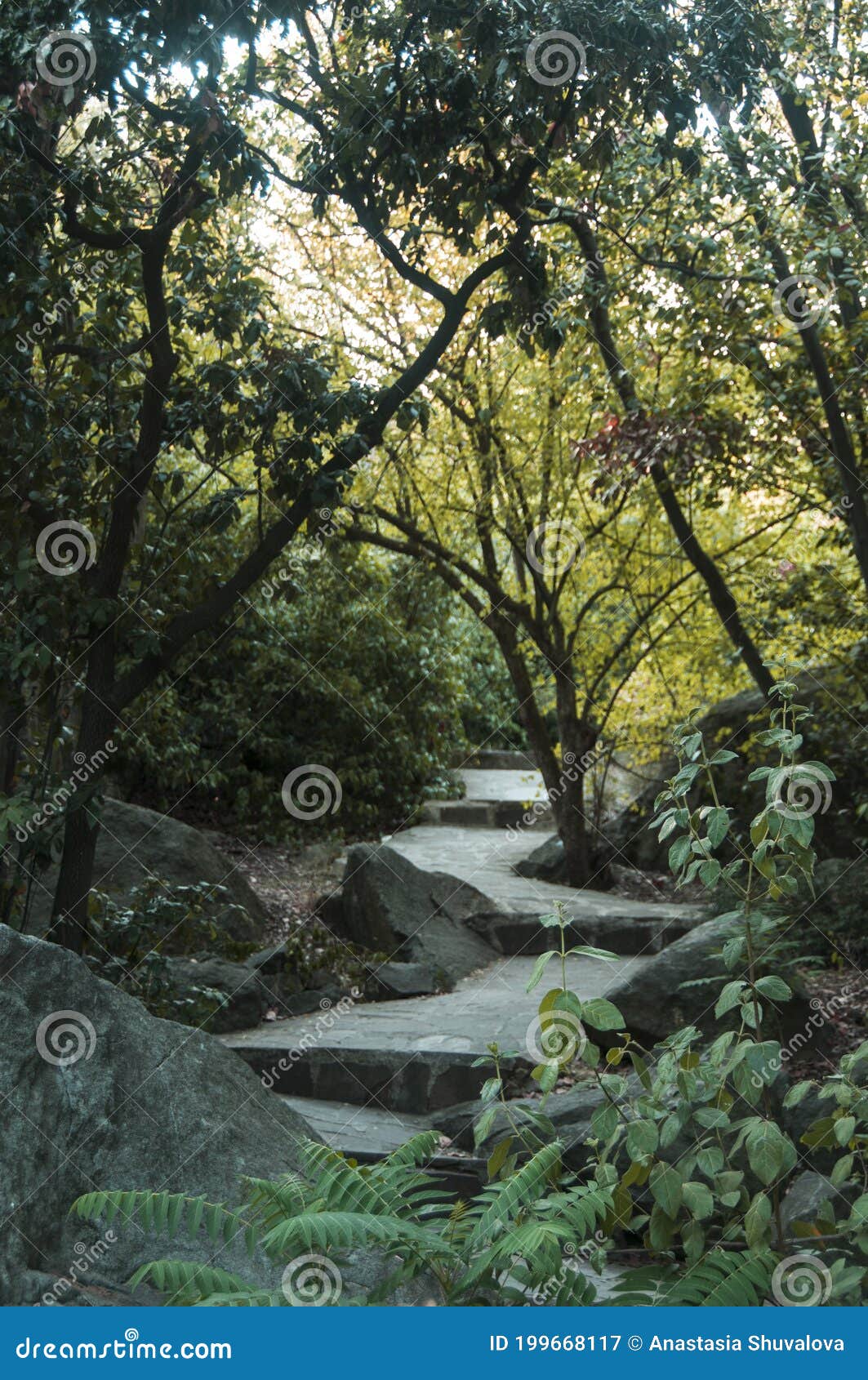 Stone Path among the Rocks Under the Shade of Trees. Stone Staircase in ...