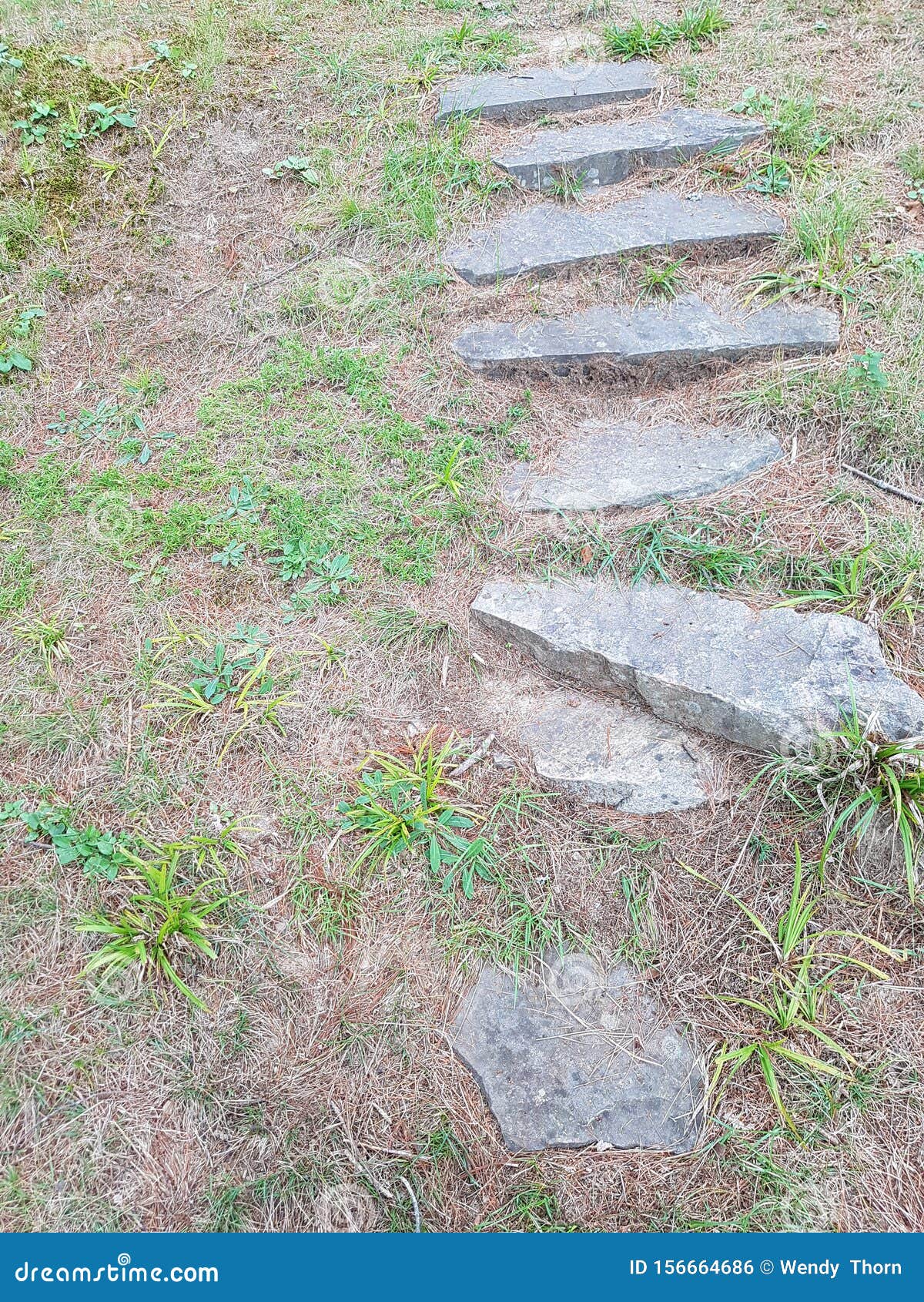 Stone Path Sparse Grass Abstract Background Stock Photo - Image of ...
