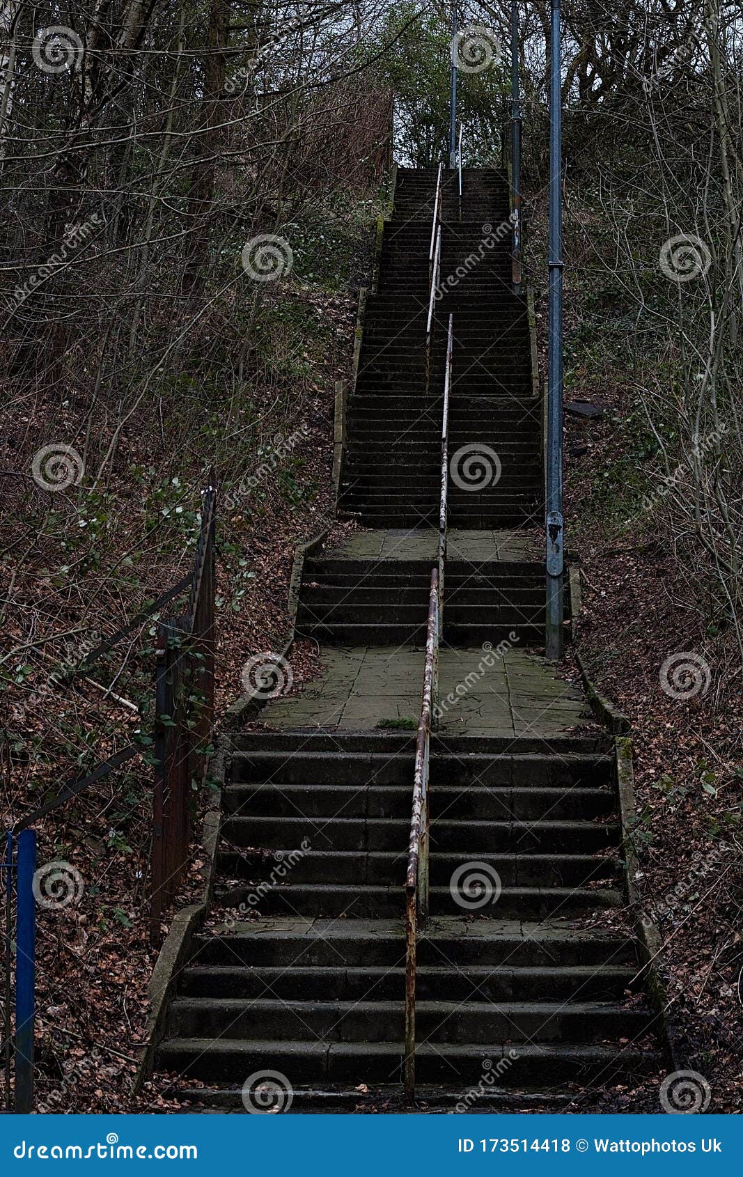 Stone Path Steps with Forest Trees Each Side Stock Photo - Image of ...