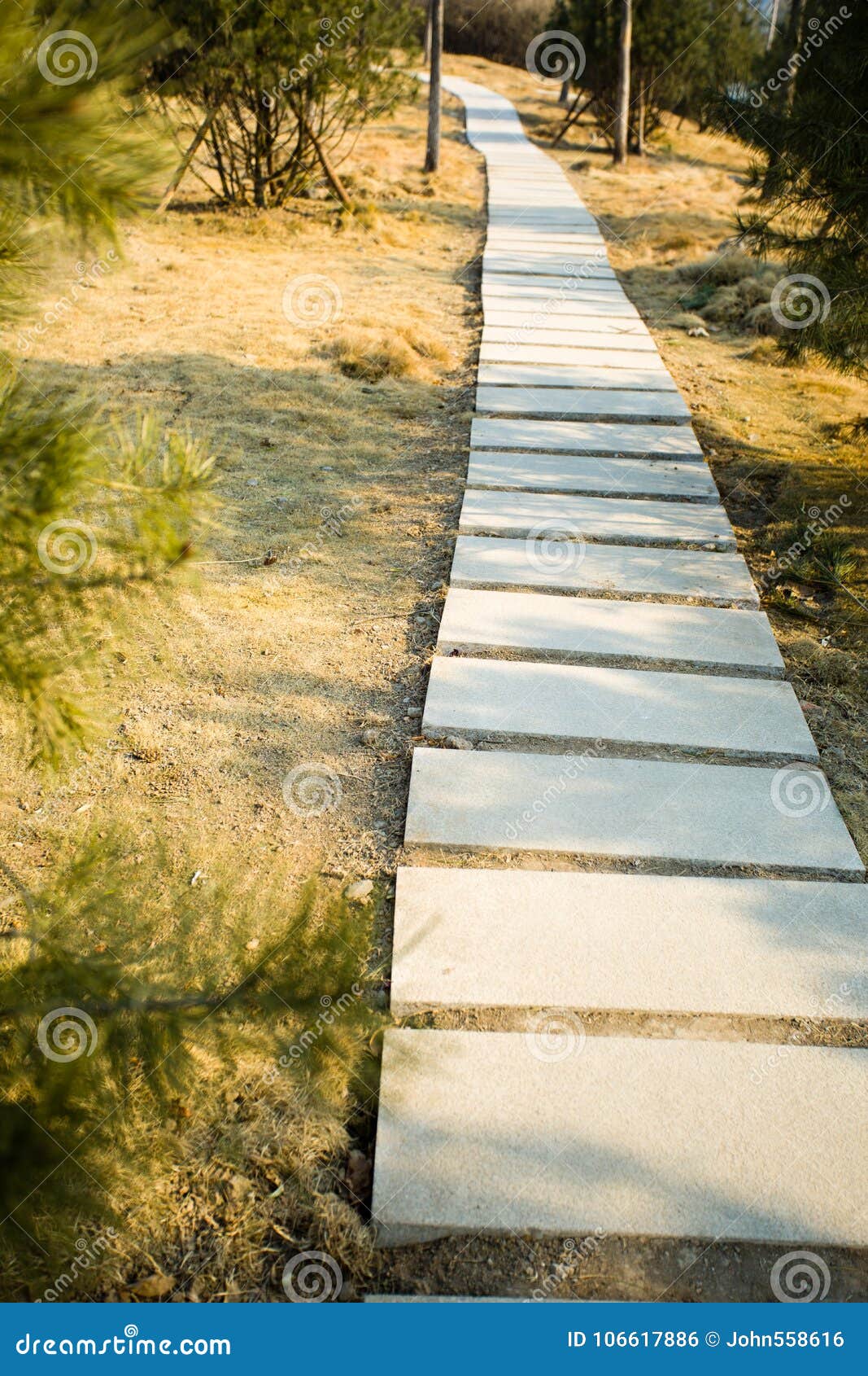 The stone path stock photo. Image of outdoor, path, background - 106617886