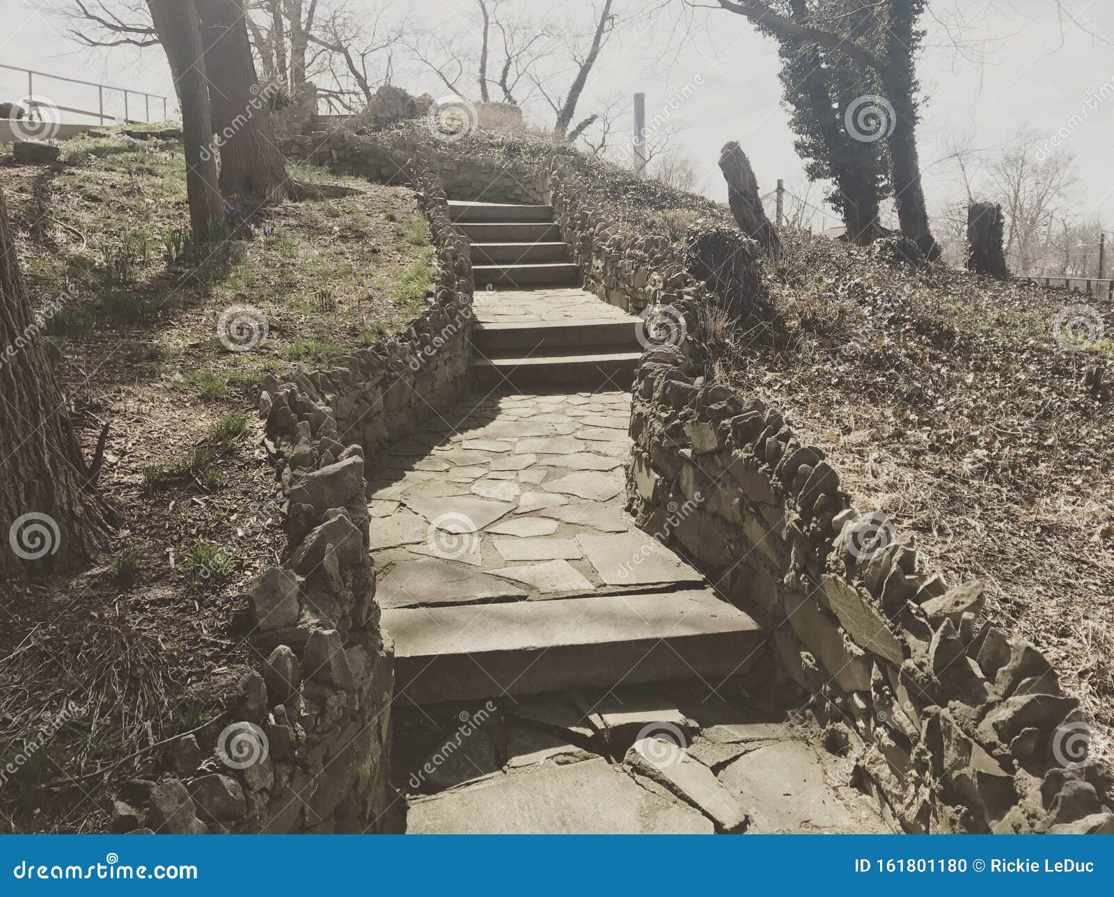 Stone path stock photo. Image of path, spooky, stairs - 161801180