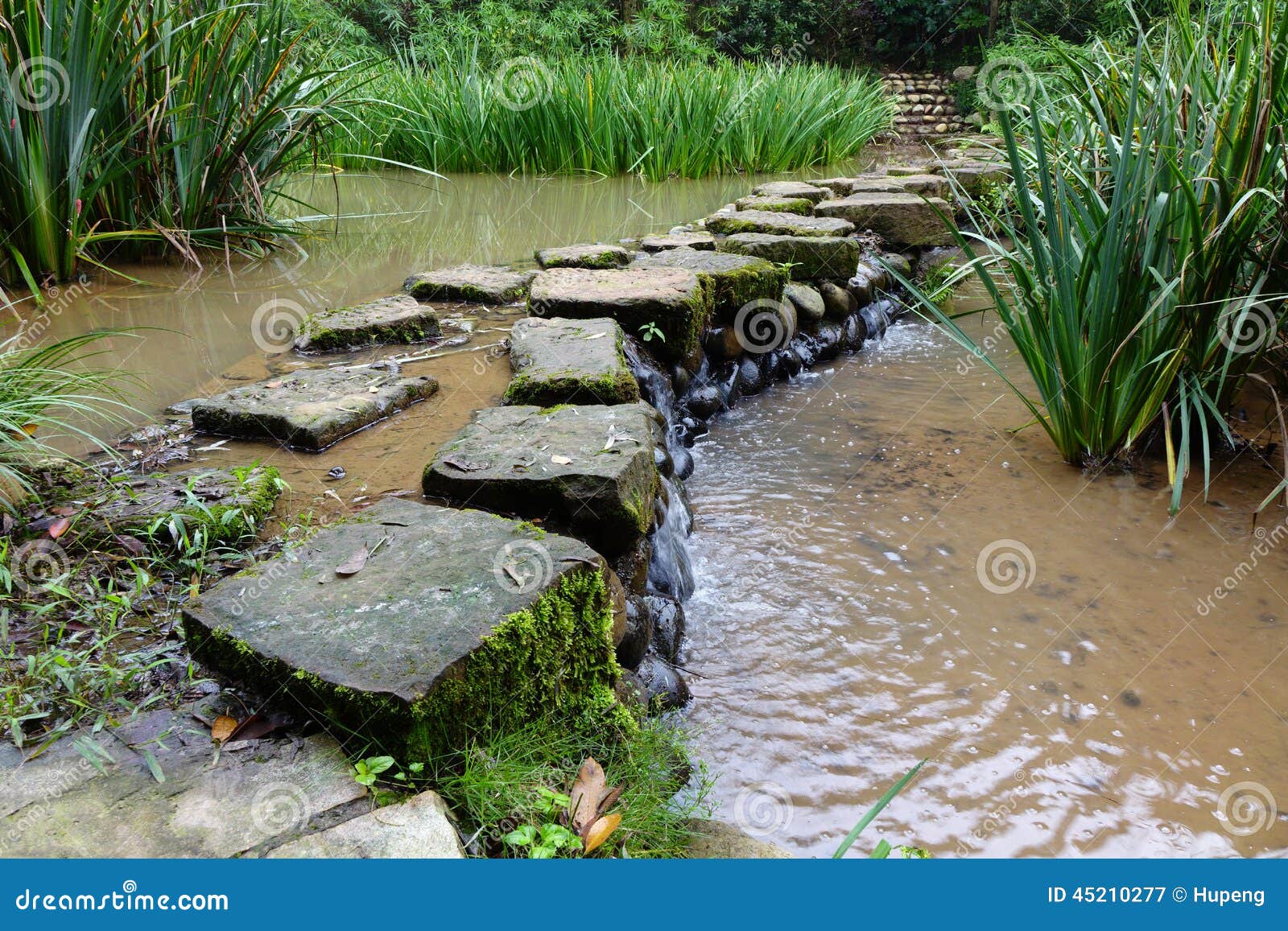 Stone path stock image. Image of foot, green, grassland - 45210277