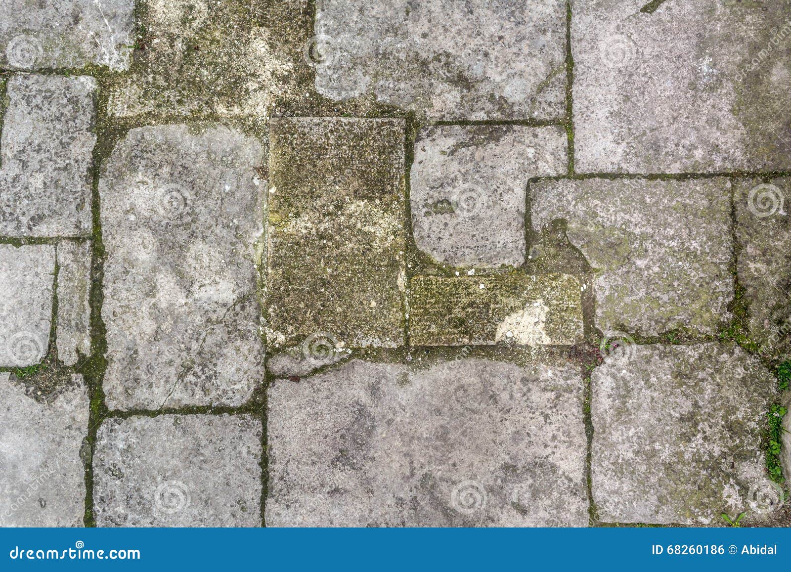 Path Texture Royalty-Free Stock Image | CartoonDealer.com #19445434