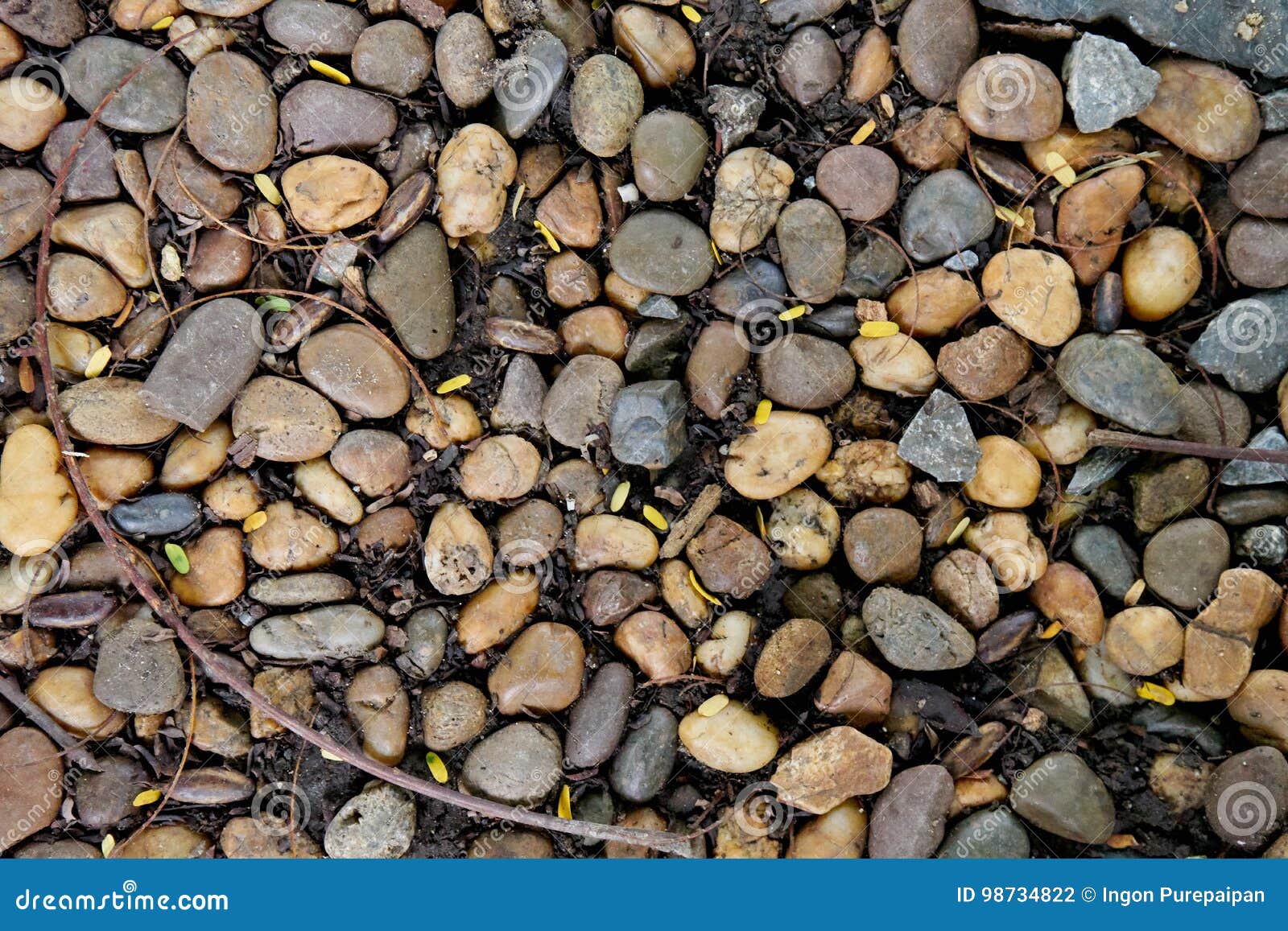Stone Path Texture in Garden Stock Photo - Image of pavement, outdoor ...