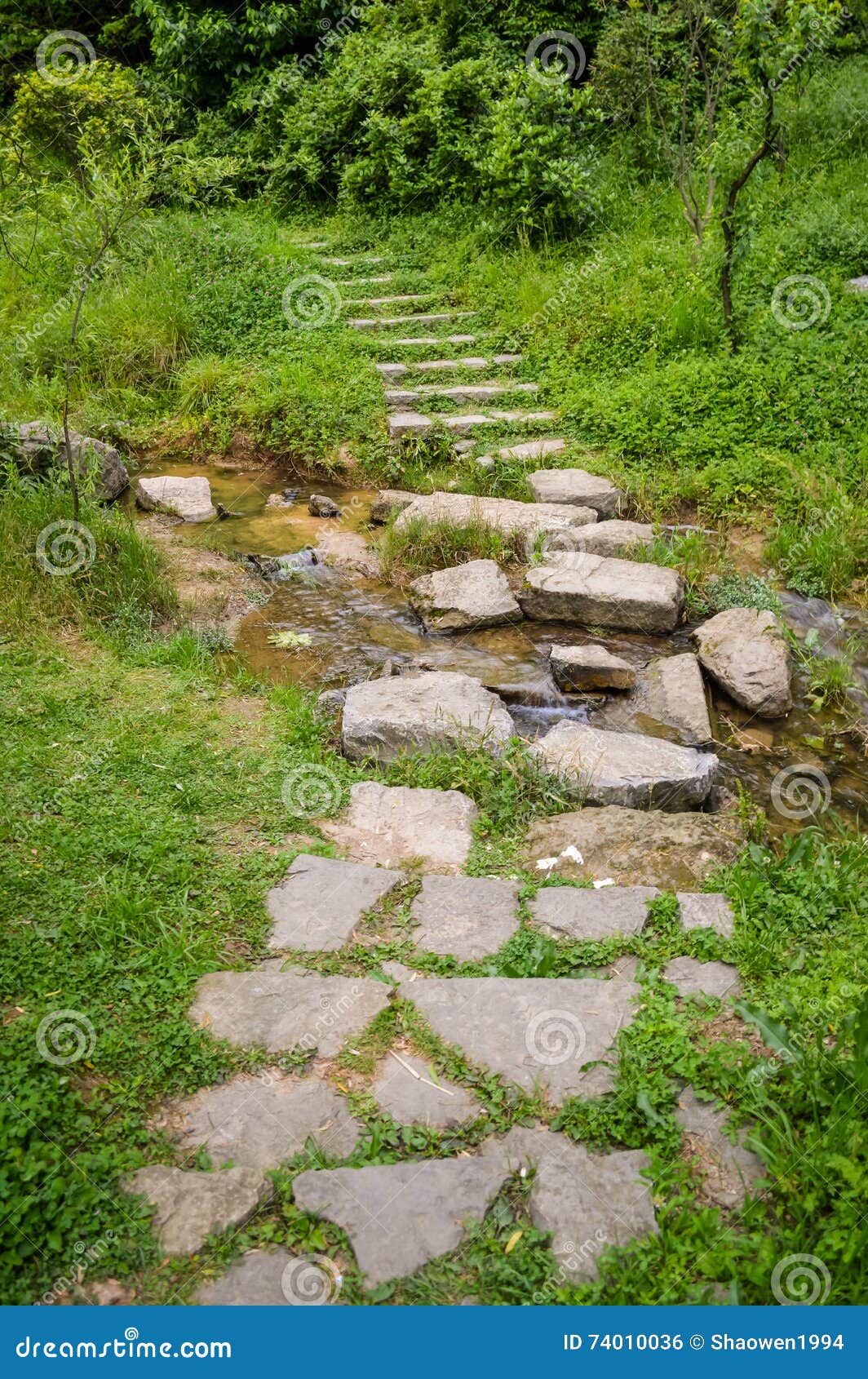 Stone path throw stream stock photo. Image of boulder - 74010036