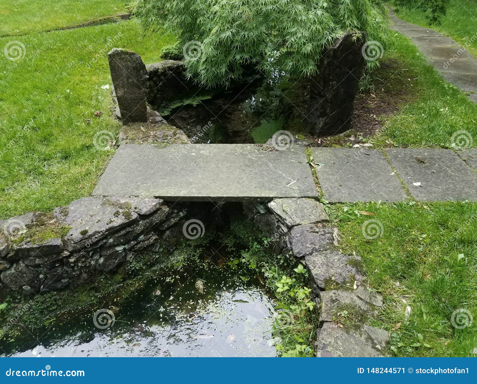 Stone Path and Tiles and Bridge Over Water Stock Image - Image of water ...