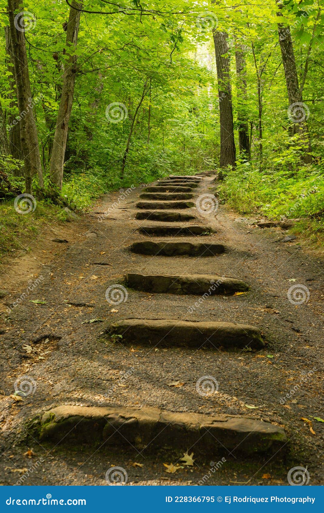 Stone path on the trail stock image. Image of devils - 228366795
