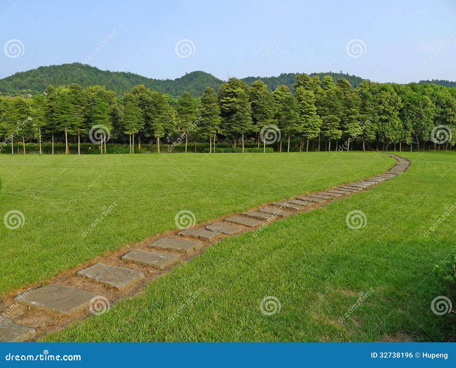 Stone path with trees stock photo. Image of gardening - 32738196