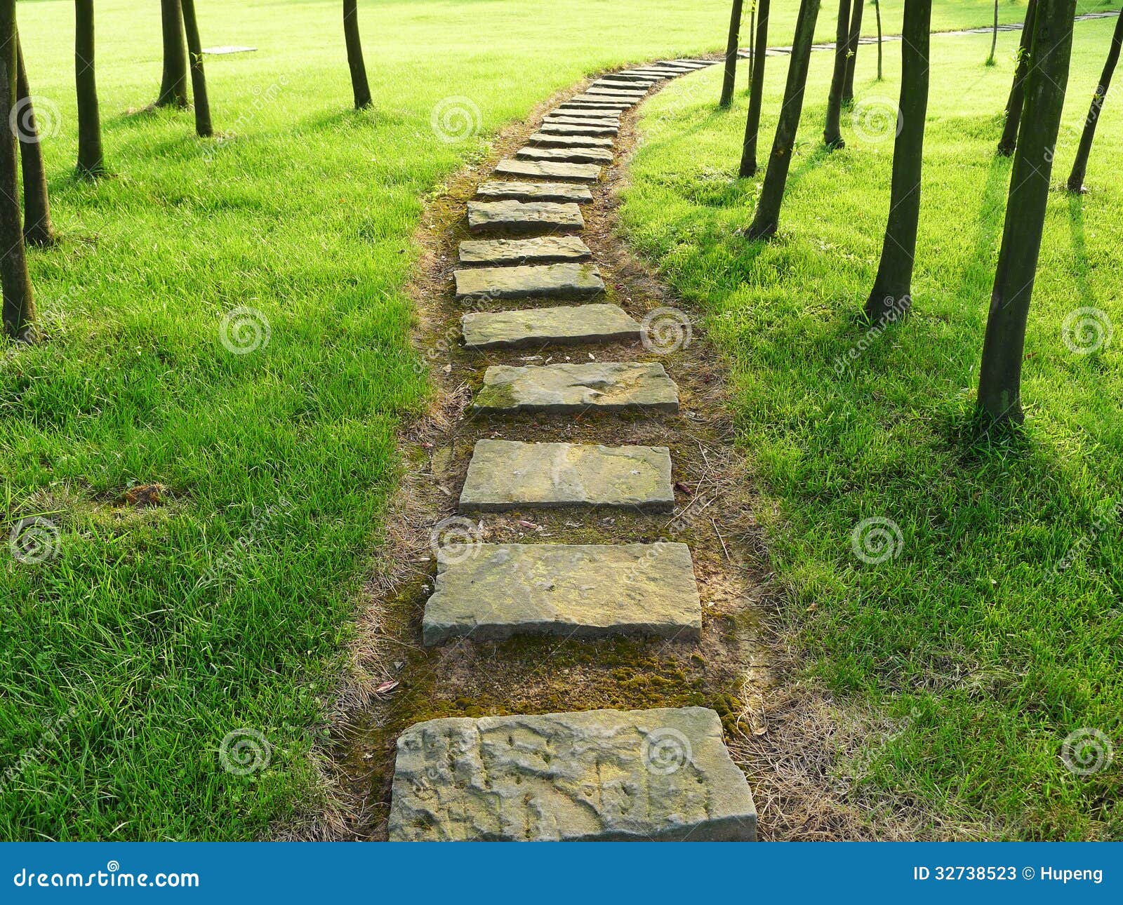 Stone path with trees stock image. Image of horticulture - 32738523