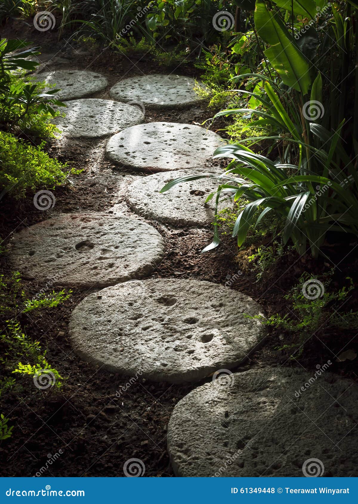 Stone Path Tropical Garden Landscape Decoration Stock Photo - Image of ...