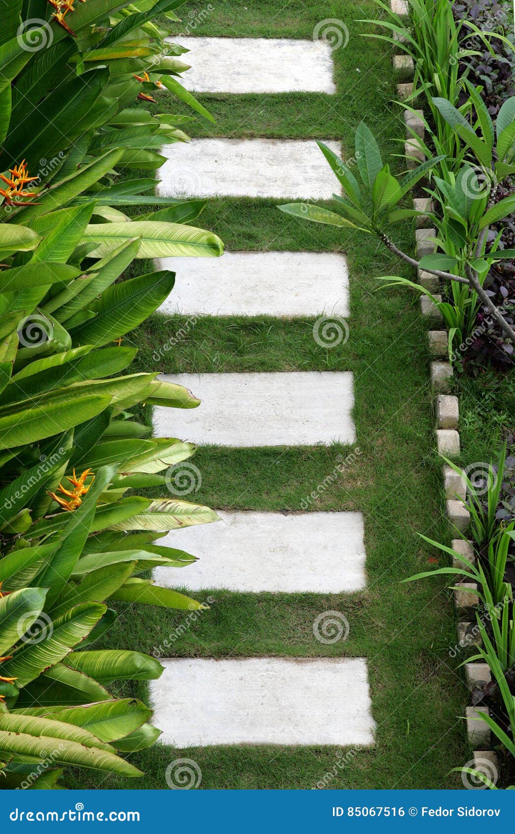 Stone Path in a Tropical Park Stock Photo - Image of accurate, beauty ...