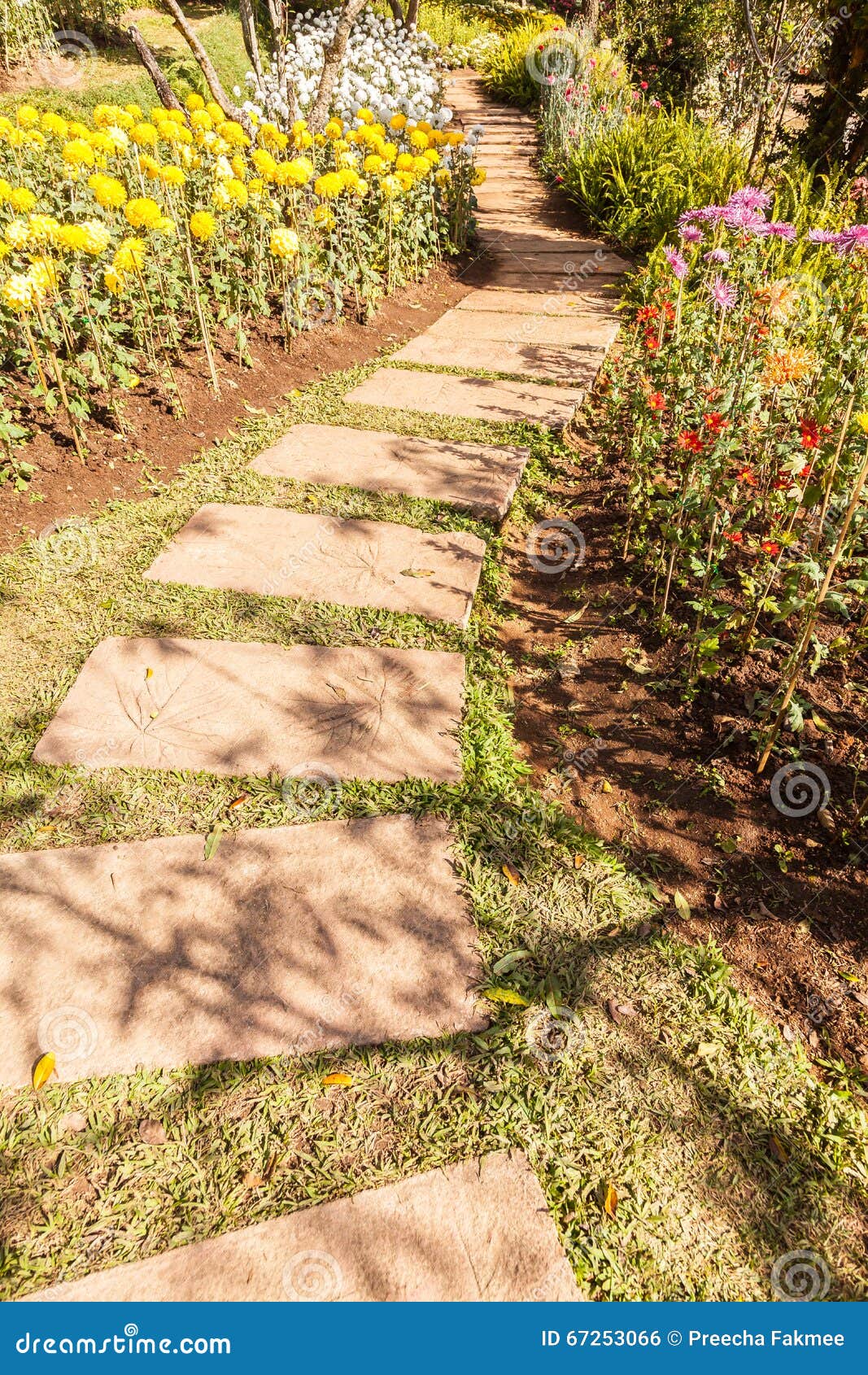 Stone Path Winding in Fresh Spring Flower Garden Stock Photo - Image of ...