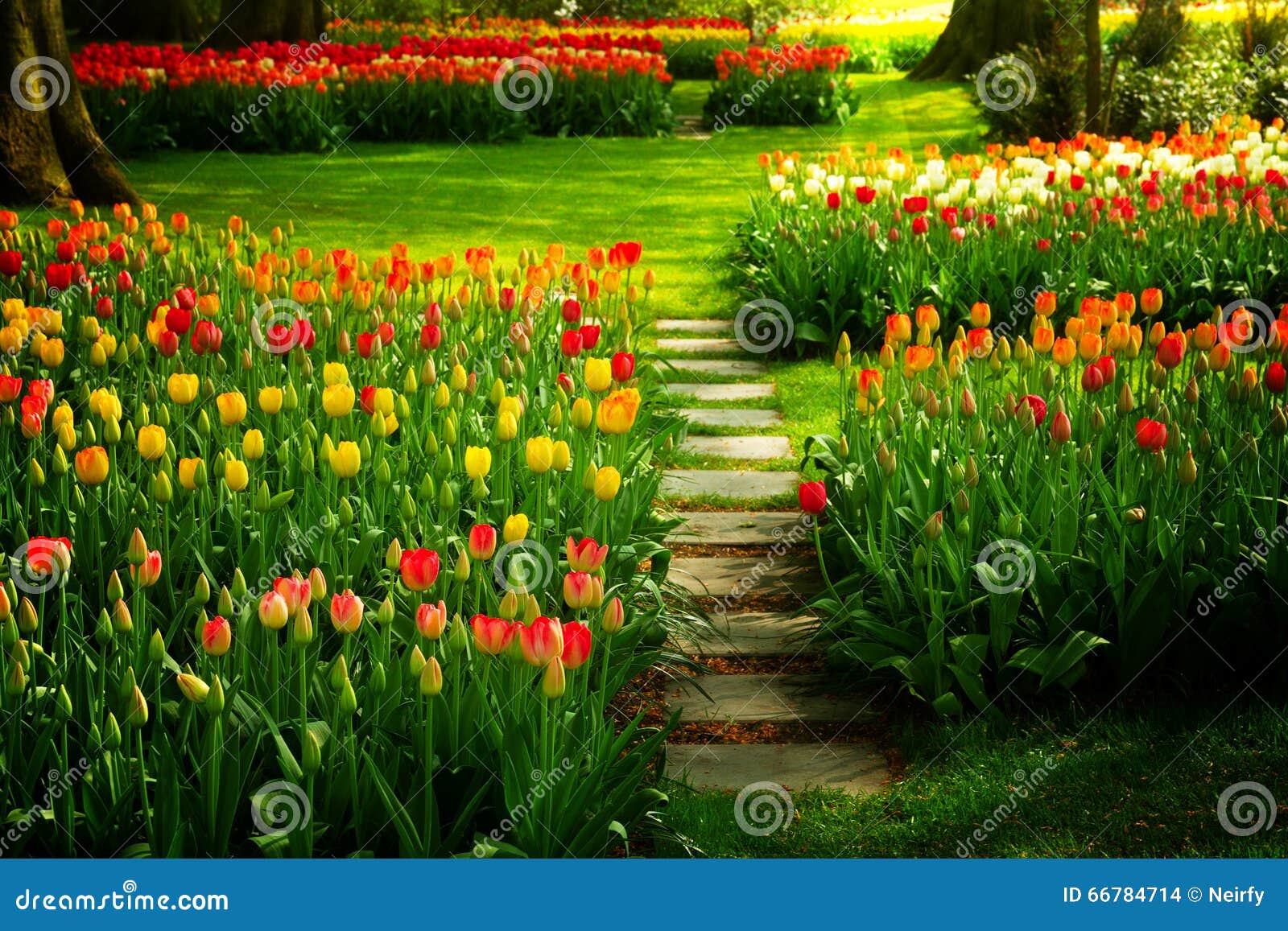 Stone Path Winding in a Garden Stock Photo - Image of fresh, floral ...