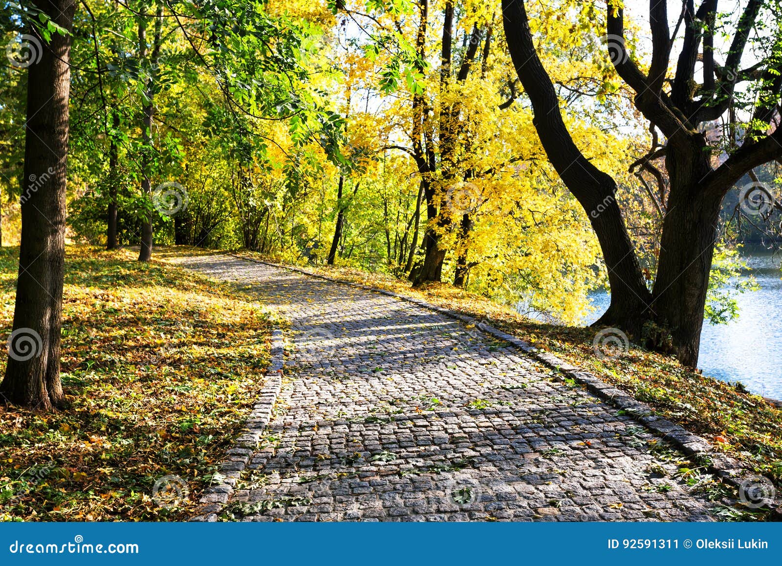 A Stone Pathed Path by a Lake Stock Image - Image of lush, lake: 92591311