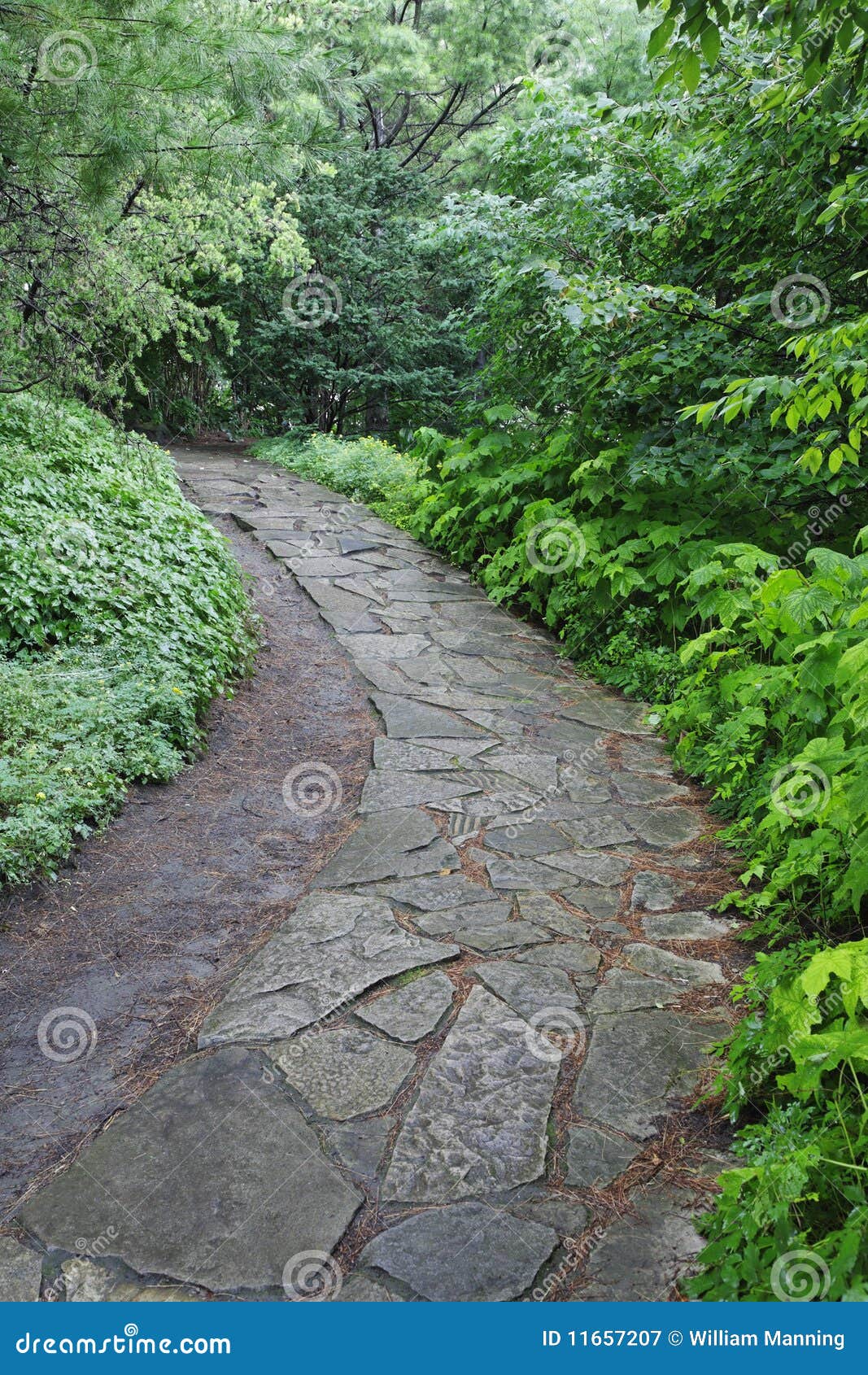 Stone Pathway Royalty-Free Stock Photography | CartoonDealer.com #20708027