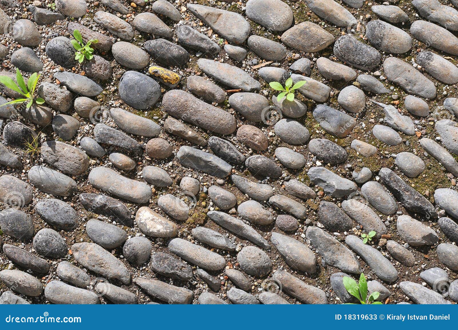 Stone Pathway Texture Stock Photography | CartoonDealer.com #66647336